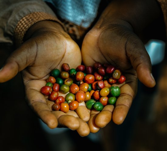 Uganda's Water Crisis: Solutions and Impact | Water.org