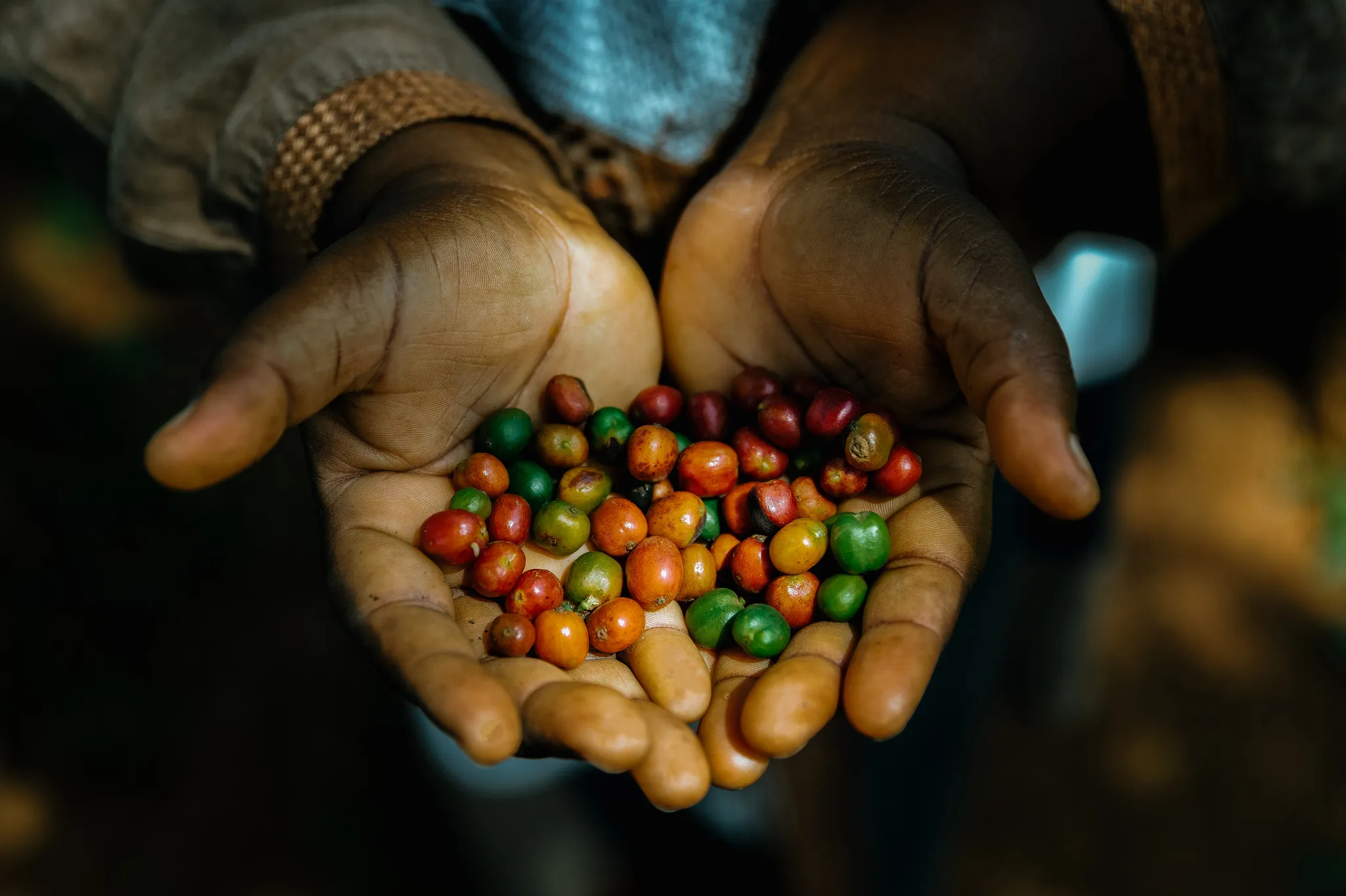 Semambo Grows | Water.org