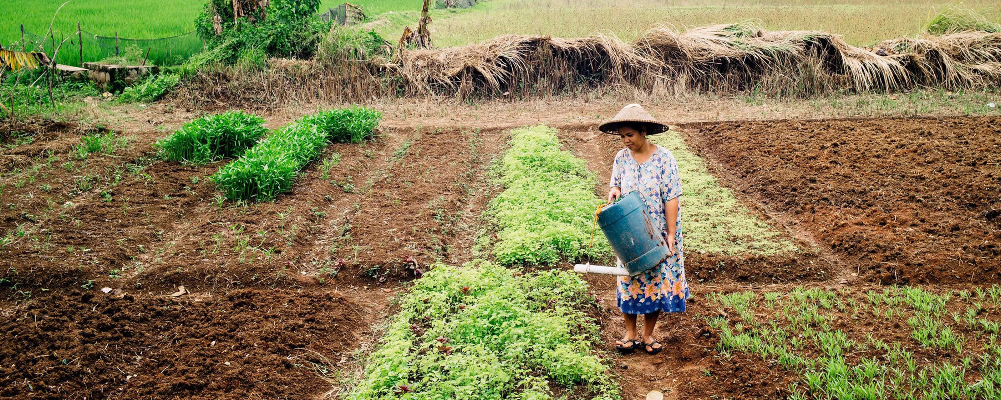 Access to Clean Water & Toilets in Rural Indonesia | Water.org